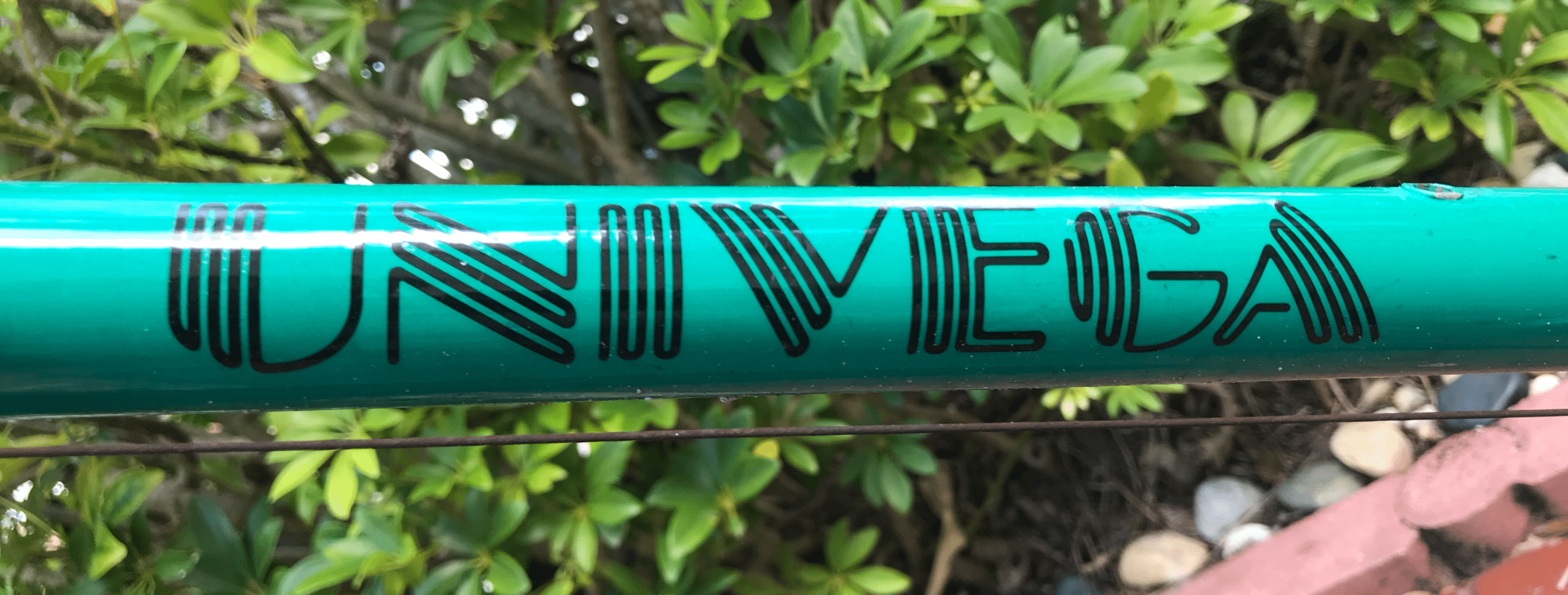 Aqua Road Bike Life Lesson #2: Keep showing up | The ThriveMonger